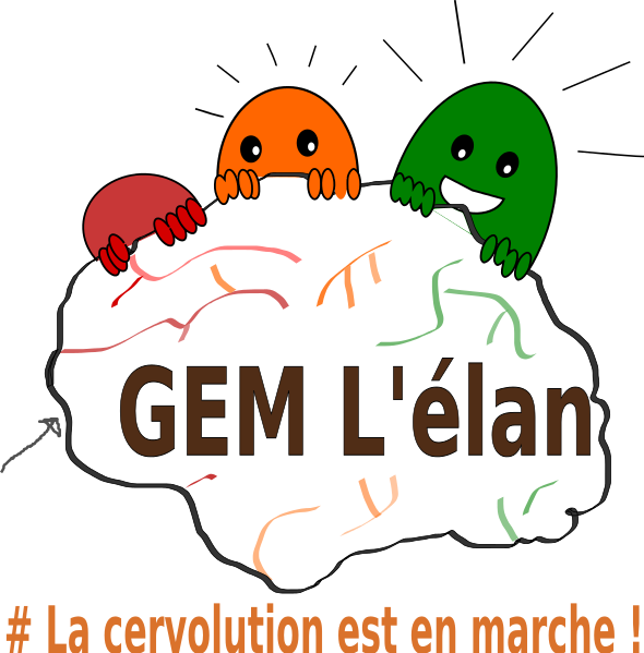 Nos missions - GEM L'élan